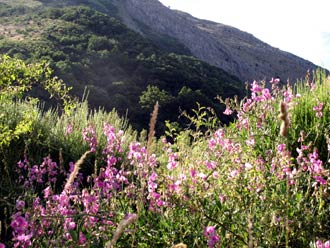 La Virgen del Manadero