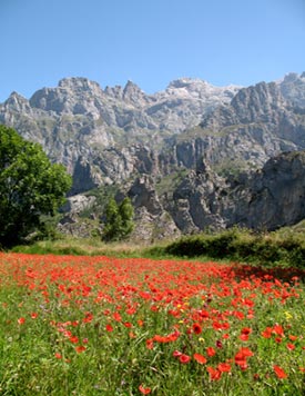 El Valle de Valdeón
